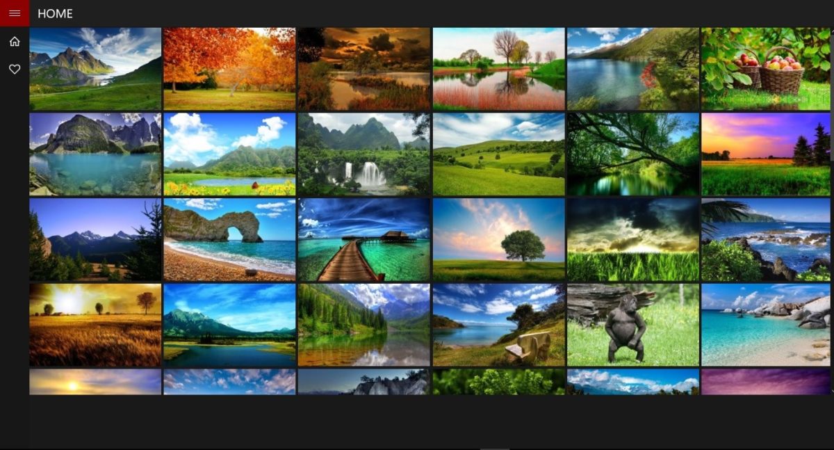 Despite COVID-19 crisis, Microsoft launches Biodiversity effort with ...