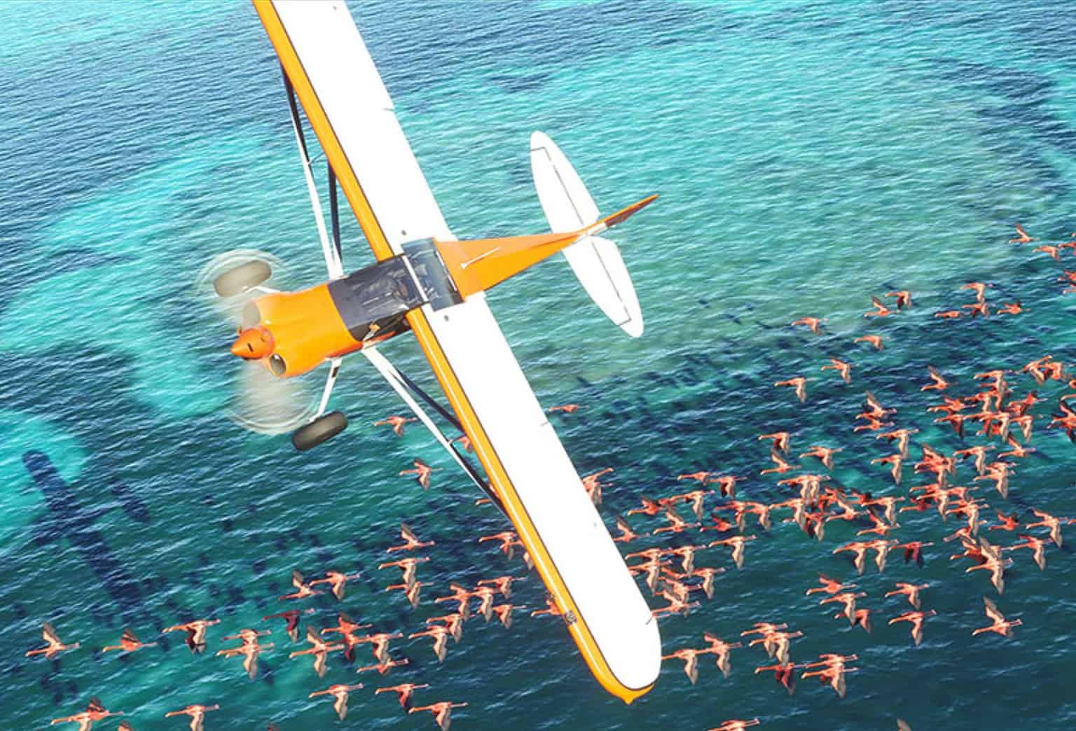 A must-watch history of Microsoft Flight Simulator (video)