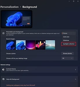 Here is how to enable the Windows 11 Spotlight collection feature