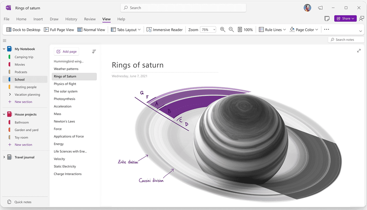 New OneNote on Windows app is getting ‘Vertical Tabs’ layout option in 2023