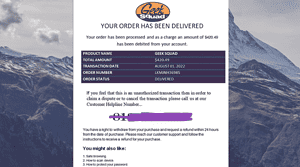 Geek Squad Email Scam: What is & 5 Ways to Prevent it