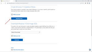 FIX: Display adapter missing from device manager
