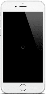 6 Ways to Fix iPhone Black Screen Spinning Wheel