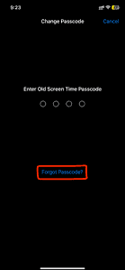 How To Remove Screen Time on iPhone With Ease