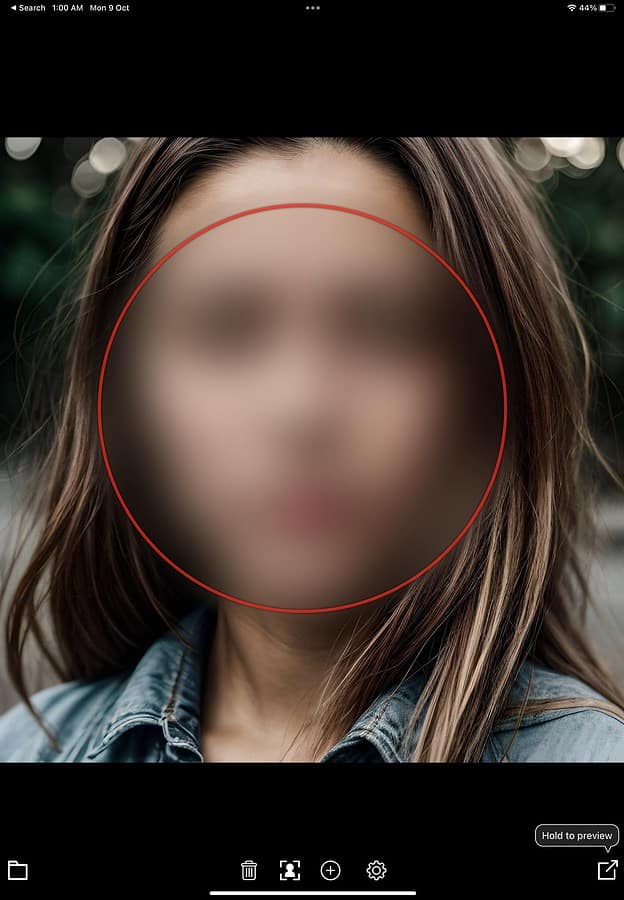 Face Blurring Software - 9 Best Options for Your Privacy