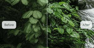 What's Magnific AI? New tool claims to upscale images like never before
