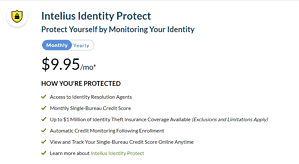 Intelius Review - How Accurate Is It?