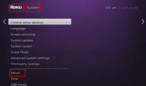 Roku Screen Mirroring Not Working: 12 Best Fixes