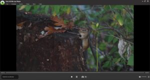 Best Free Blu-ray Player for Windows 10 - 10 Versatile Tools