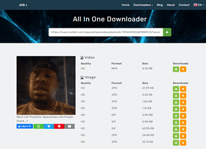 10 Best Tumblr Downloader Tools [Tested]
