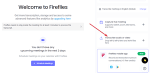 Fireflies.ai Review: Must-Have or Not?