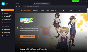 Best Crunchyroll Downloader: 5 Powerful Apps