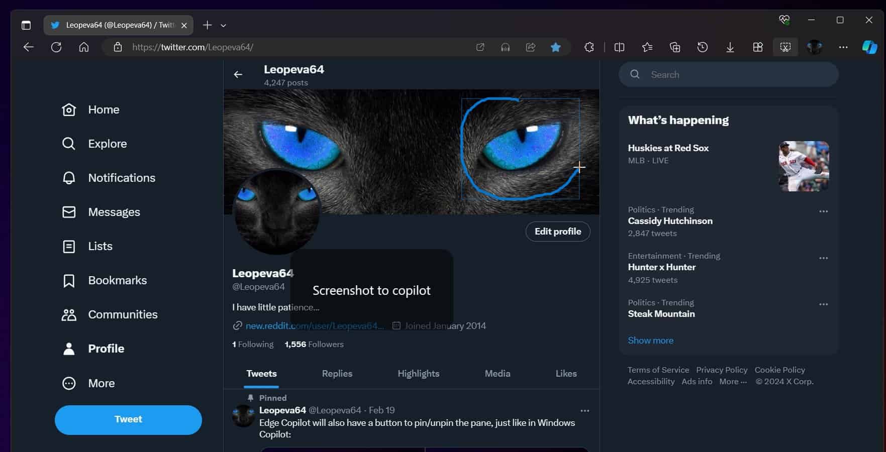 We've heard "Circle to Search," but what's Microsoft's new "Screenshot ...