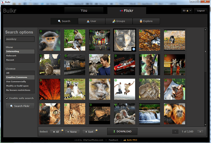 5 Best Flickr Downloader Tools for Saving Images and Videos