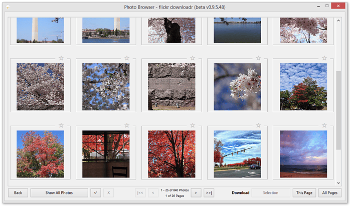 5 Best Flickr Downloader Tools for Saving Images and Videos
