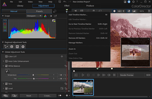 CyberLink ColorDirector 365 Review: Is It Any Good?