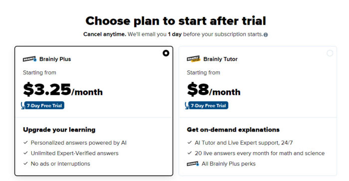 Brainly AI Review: The Best AI Homework Helper?