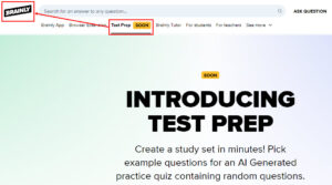 Brainly AI Review: The Best AI Homework Helper?
