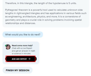 Brainly AI Review: The Best AI Homework Helper?