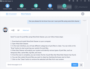 Wise Disk Cleaner Review - Is It Worth Trying?