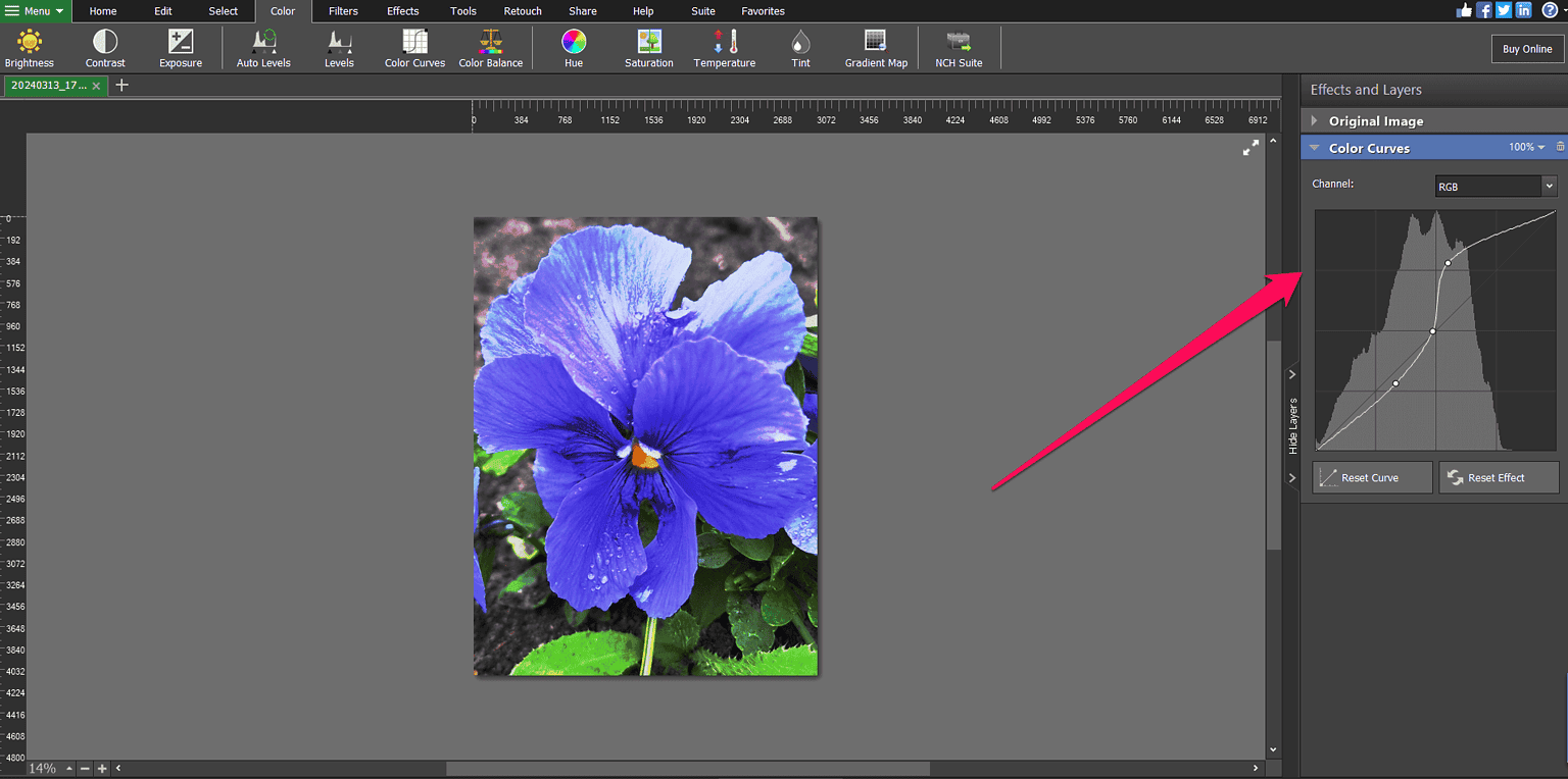 PhotoPad Review: Features, Pricing, and More