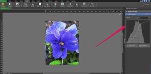PhotoPad Review: Features, Pricing, and More