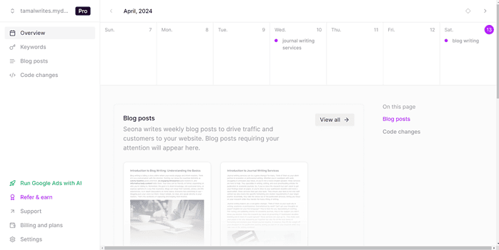 Seona AI Review: Is It the Right AI SEO Tool For You?