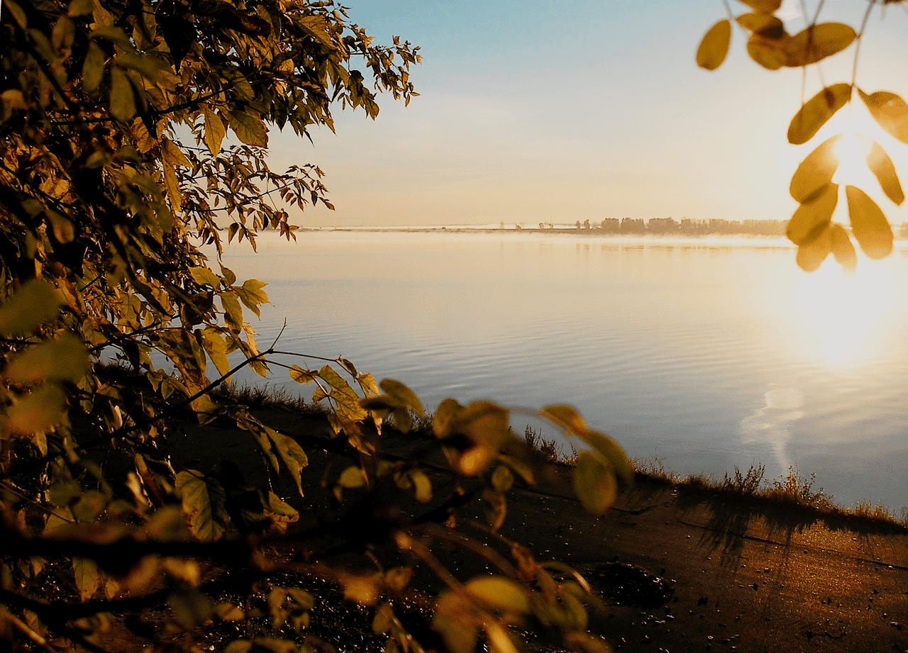 Fylm AI Review: AI Color Correction From Your Browser