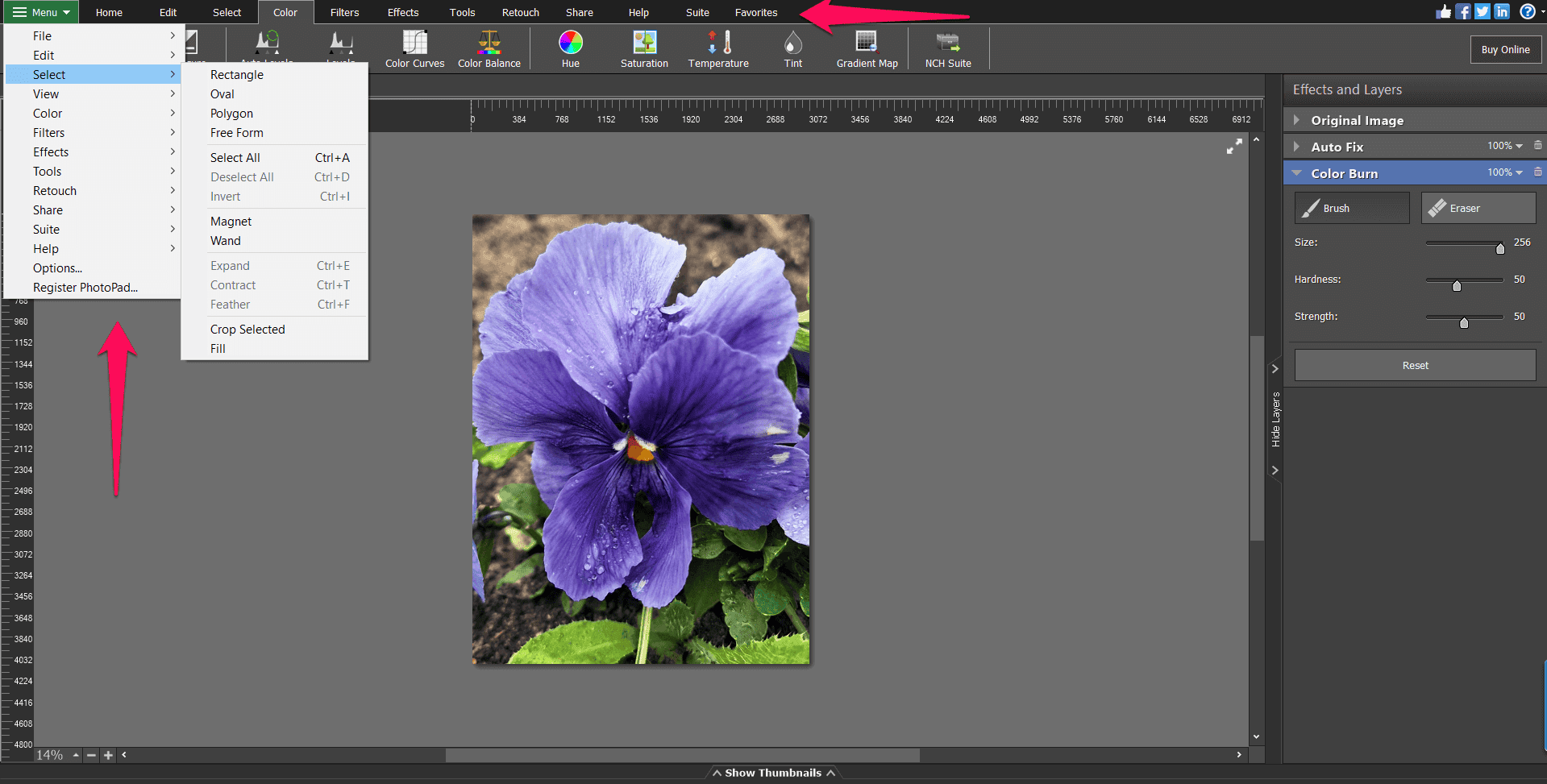 PhotoPad Review: Features, Pricing, and More