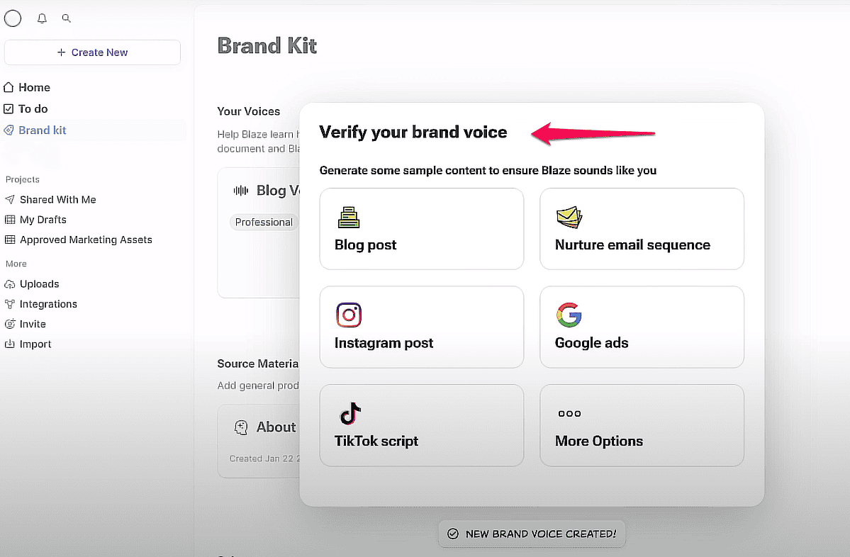 Blaze AI Review: Great or Meh?