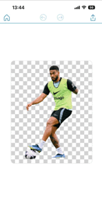 Promeo Review: Is It Worth a Subscription?