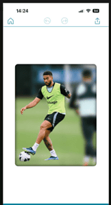 Promeo Review: Is It Worth a Subscription?