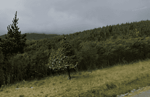 15 Funny Google Maps Coordinates That Will Make You Laugh - Technology ...