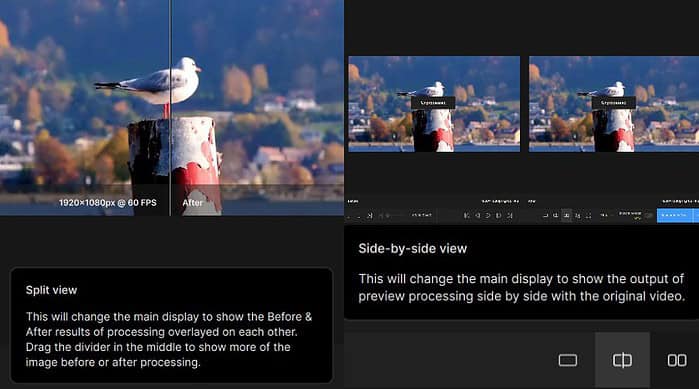 Topaz Video AI Review: Is It Worth The Price?