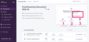 Trinka AI Review: Is It a Good AI Language Correction Tool?