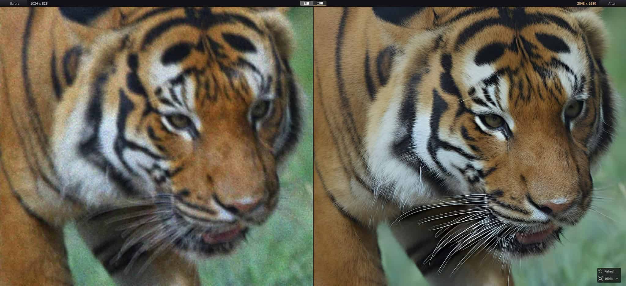 Aiarty Image Enhancer: Best AI Image Upscaler? [Free Giveaway]