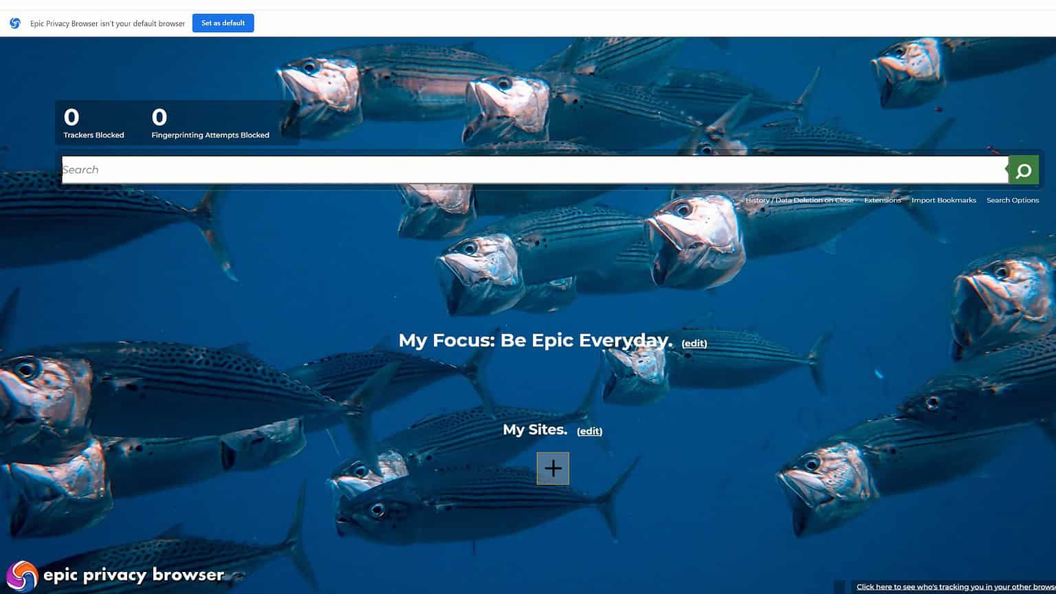 Epic Privacy Browser Alternative: 10 Most Private Web Browsers