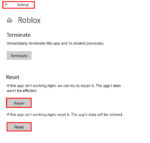 Roblox Not Launching on Windows 11: 12 Best Fixes