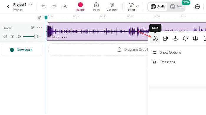 Best AI Audio Enhancer: Top 10 Solutions [Free and Paid]