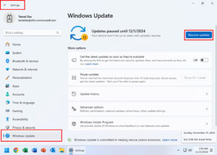Windows 11 Apps Won't Open [Resolved]