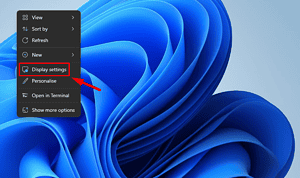 Third Monitor Not Detected on Windows 11 - 8 Proven Solutions