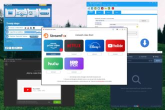 Top Free Video Downloader for PC: Best Picks for Windows 10