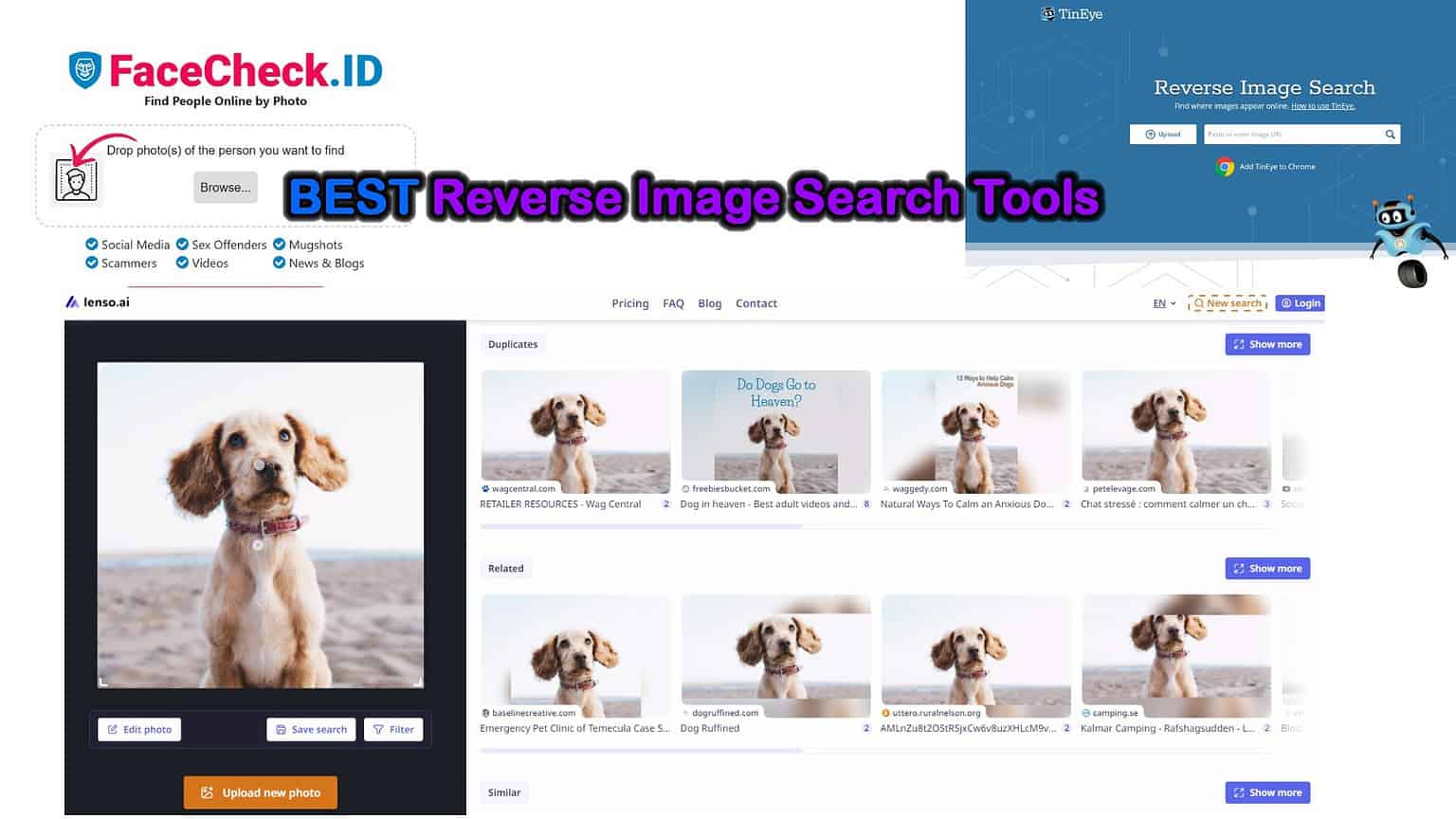 Best Reverse Image Search Tools: 10 Top Picks