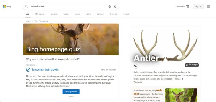 How To Play The Bing Homepage Quiz And Win (Quick Guide)