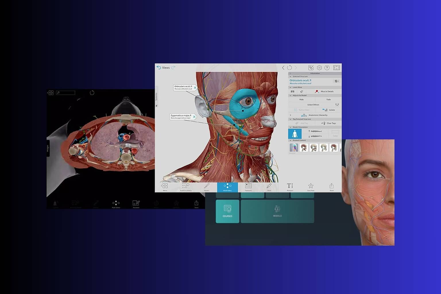 Top Anatomy Apps & Software For PC