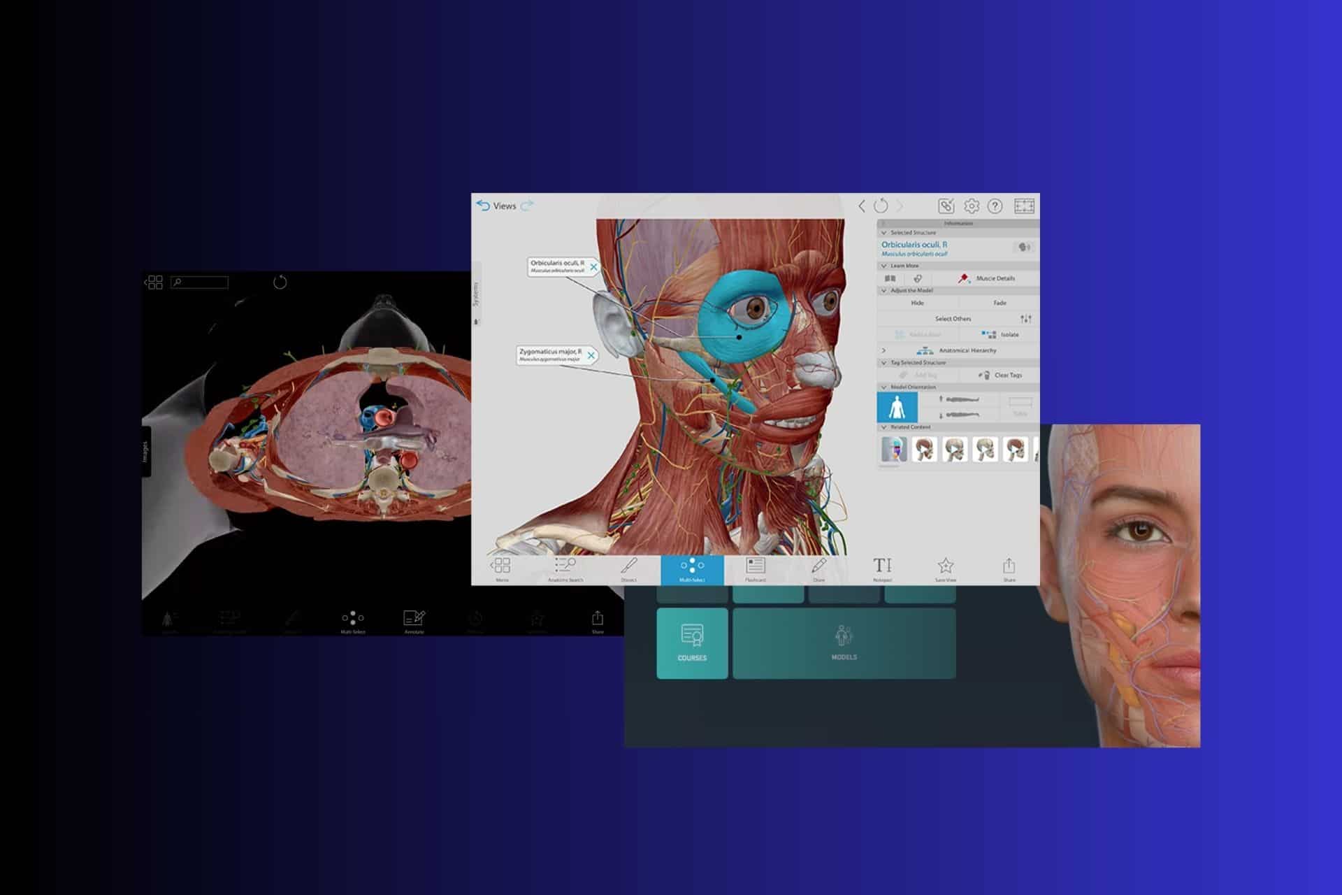 Top Anatomy Apps & Software For PC