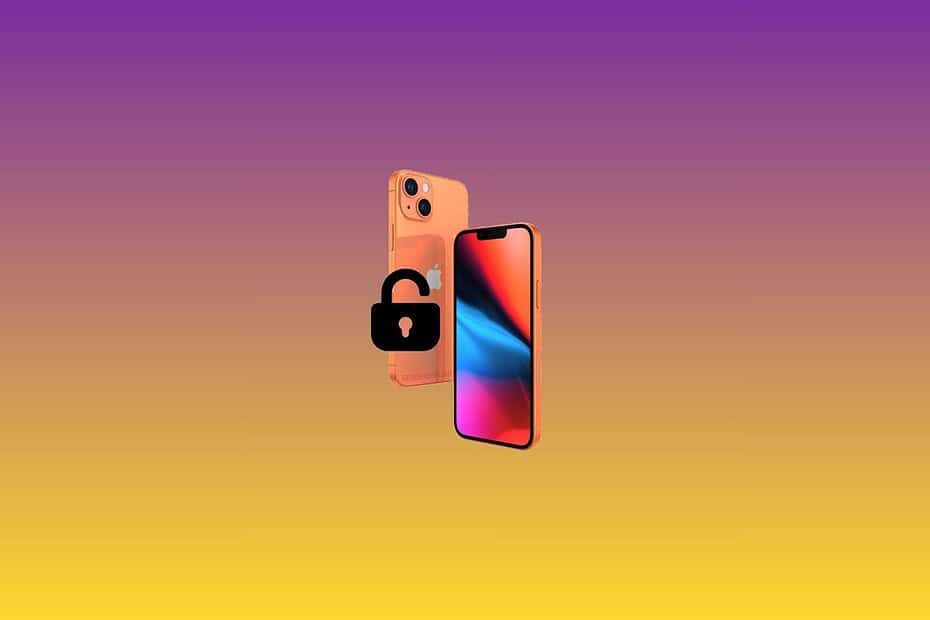 iPhone Security Lockout? 4 Ways To Unlock or Bypass It!